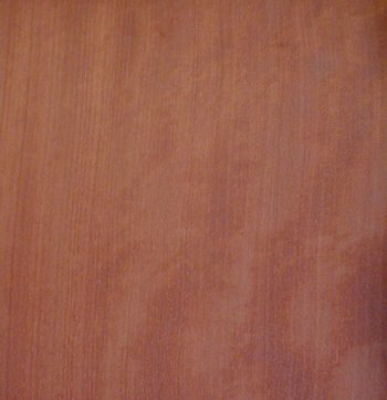 SPECIE PICTURES PAGE THREE