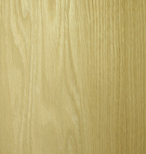 SPECIE PICTURES PAGE THREE