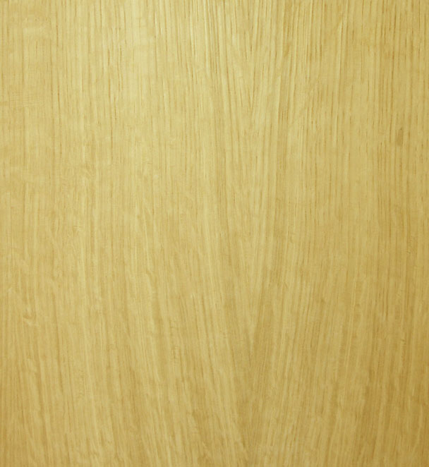 SPECIE PICTURES PAGE THREE